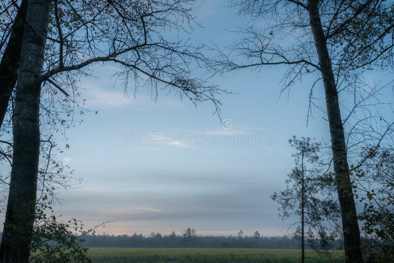 Late Autumn, Dawn before Sunrise. Soft, Diffused Light Over Rural ...