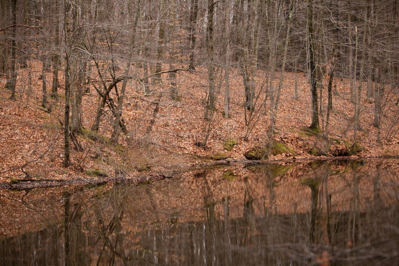 Late Autumn Landscape stock image. Image of nature, autumn - 11956345