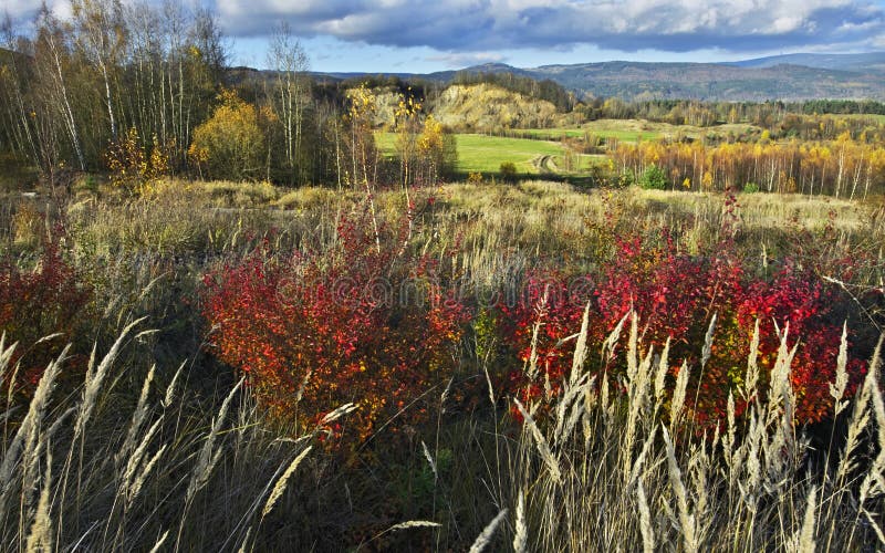 Late autumn stock photo. Image of november, outdoor, rural - 47363994