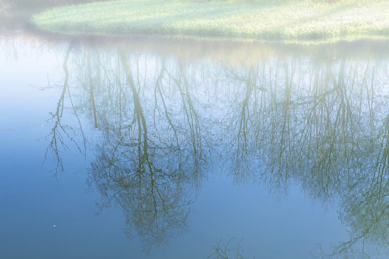 Late Autumn Reflections of Trees in the River Stock Image - Image of ...