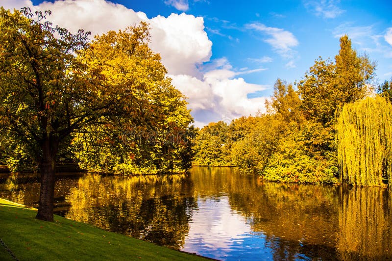 Late Autumn Scene in the Western Europe Stock Photo - Image of color ...