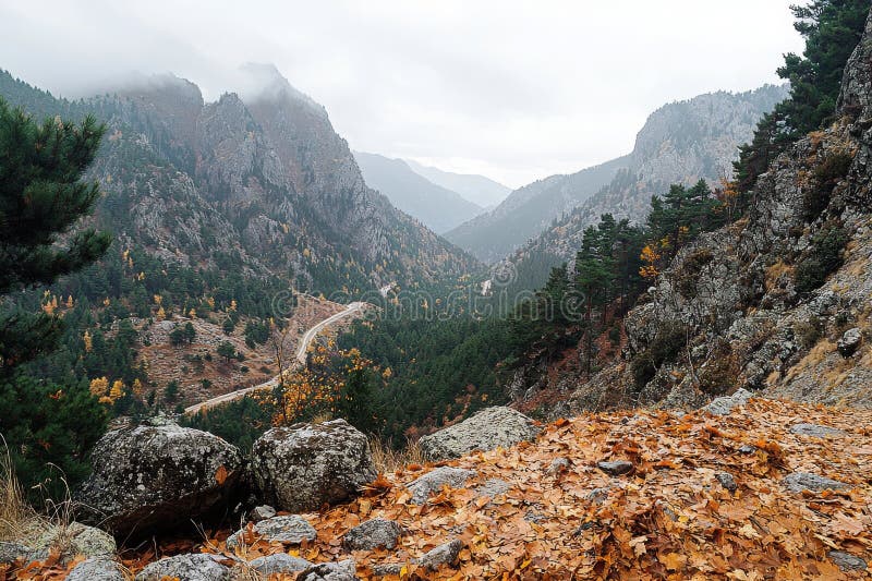 In this Late Autumn Scene, a Forest Path is Lined with Falling Leaves ...