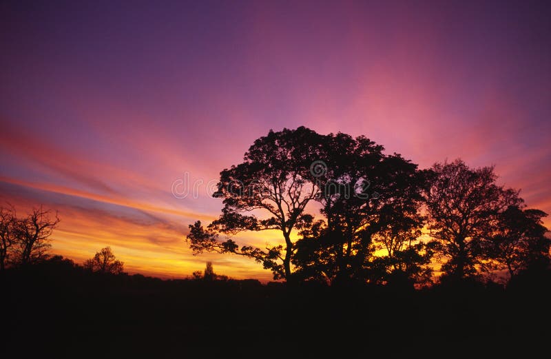 Late Autumn Sunset stock photo. Image of atmospheric, autumn - 766698