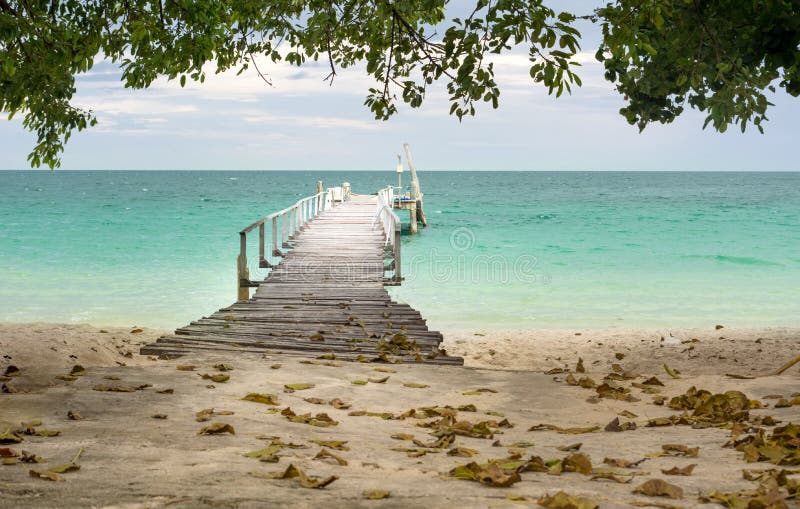 Late Autumn in Thailand, Fallen Leaves and Seaside Stock Image - Image ...