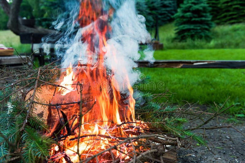 Late Evening Campfire. Burning Bonfire in the Evening Stock Photo ...
