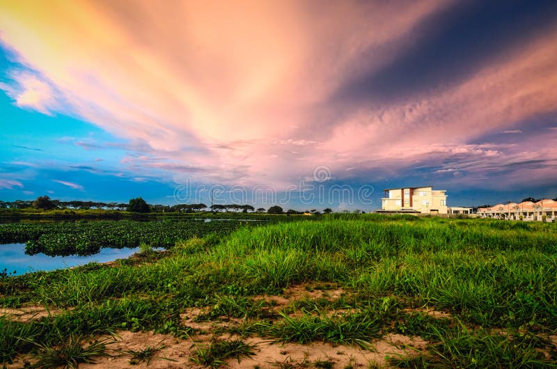 Late evening stock photo. Image of trees, water, grass - 95258884