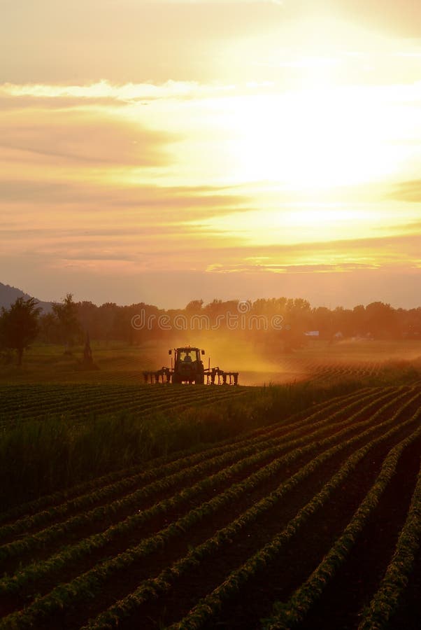 Late Evening Farming stock image. Image of machine, field - 25235339