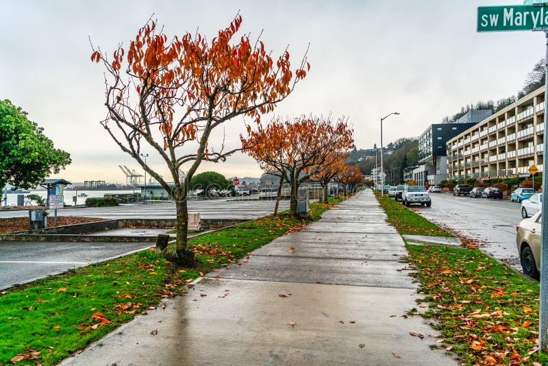Late Fall Alki Sidewalk stock image. Image of late, urban - 347376491