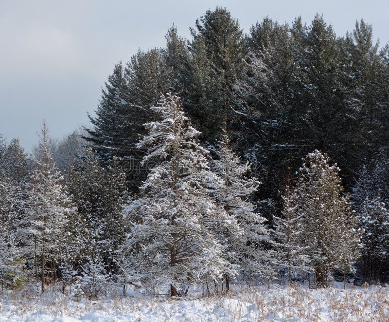 Late Fall, Early Winter Landscape Stock Photo - Image of change, fresh ...
