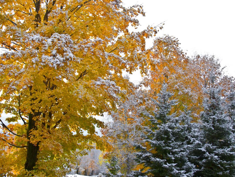 Late Fall Landscape Bromont Quebec Stock Photo - Image of fresh, late ...