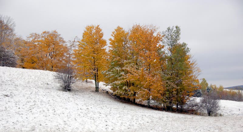 Late fall landscape stock photo. Image of autumn, leaf - 54854052