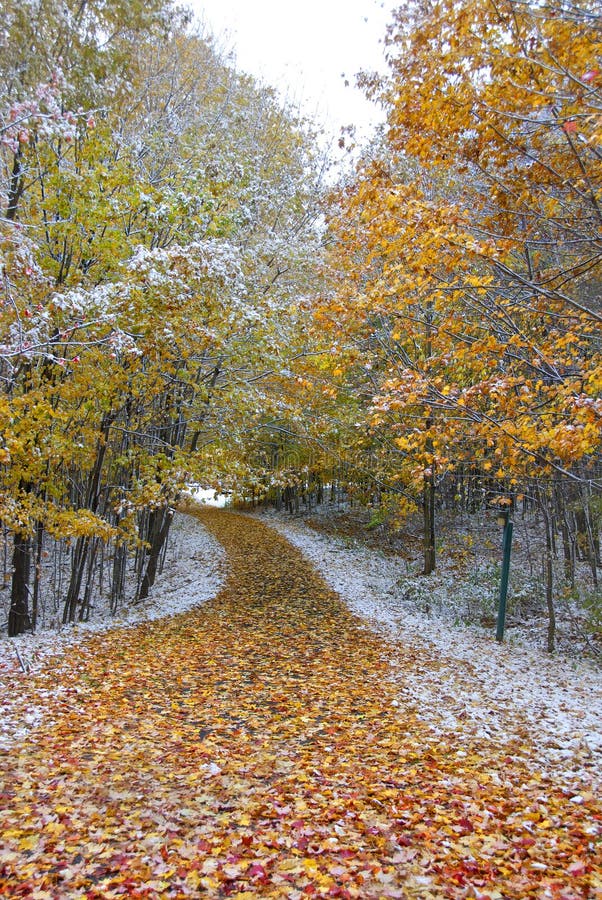 Late Fall Landscape Bromont Quebec Stock Image - Image of landscape ...