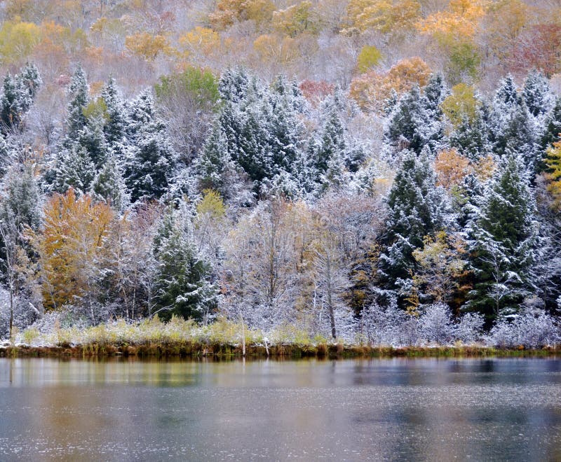 Late Fall Landscape Bromont Quebec Stock Photo - Image of green, late ...