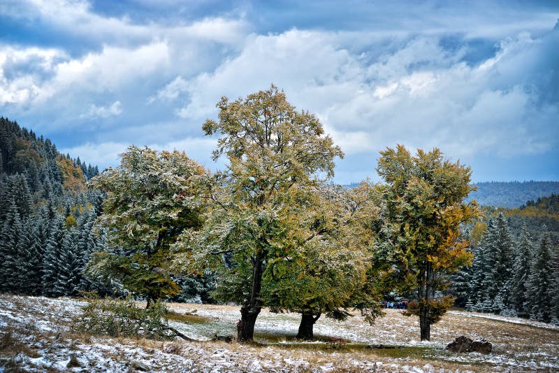 Late fall landscape stock image. Image of beautiful, environment - 35696583
