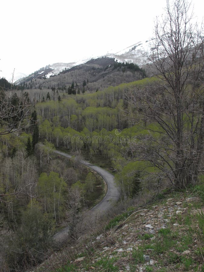 Late fall in Mountains stock image. Image of valley - 260961153