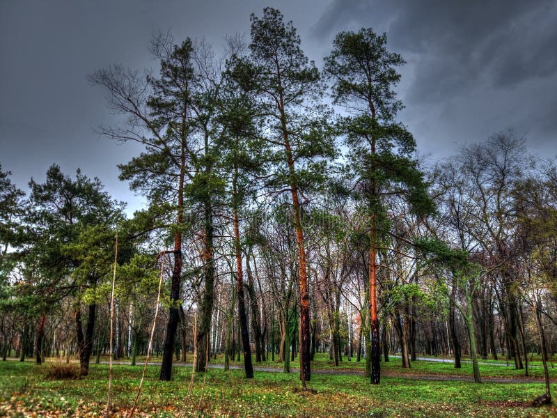 Late fall in the park stock image. Image of lovers, storm - 105163481