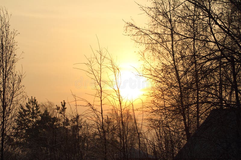 Late Fall Leaves Background : City Landscape Stock Photo - Image of ...