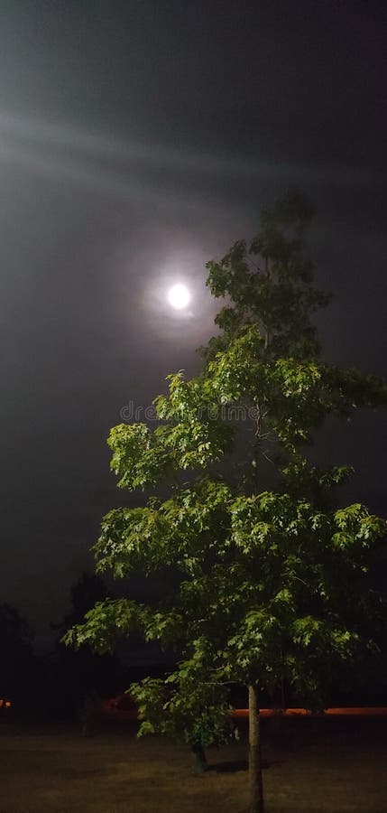 Late Night Foggy Moon stock photo. Image of late, foggy - 164379322