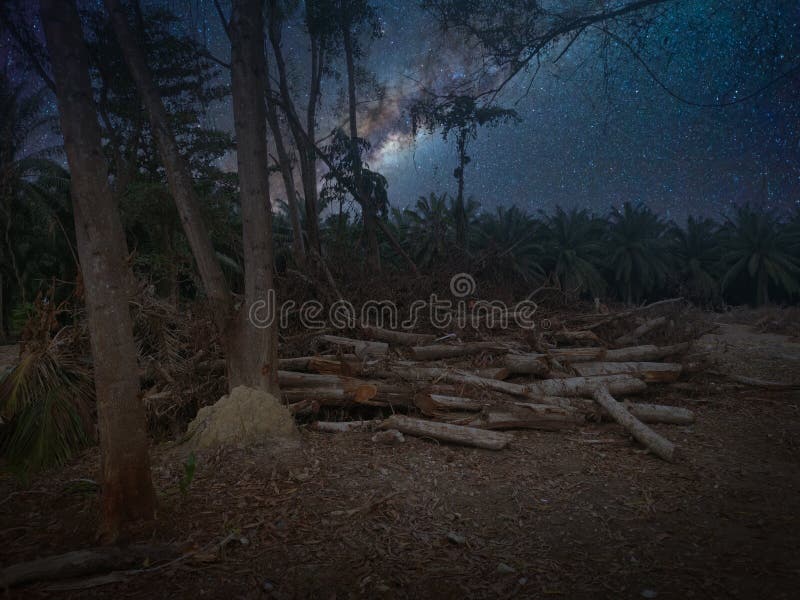 Late Night Scene at the Vacant Land Stock Image - Image of area, milky ...