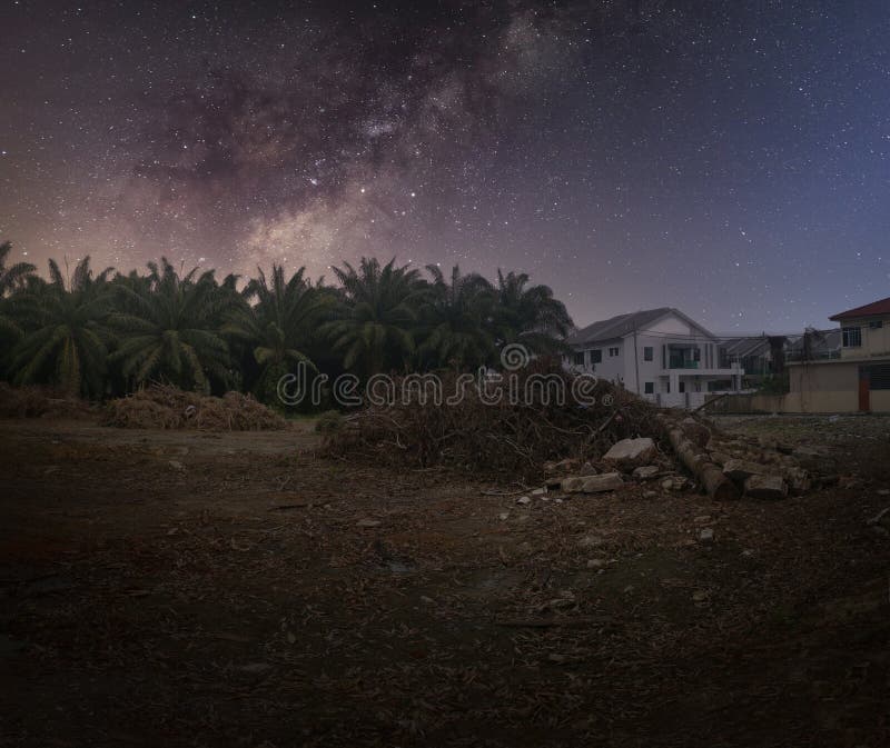 Late Night Scene at the Vacant Land Stock Photo - Image of environment ...