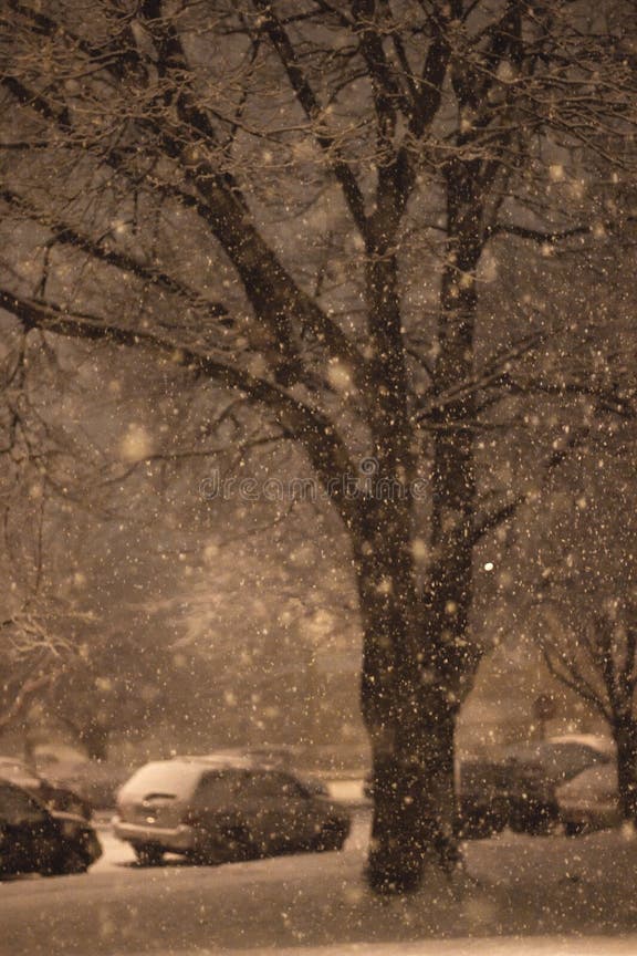 Late Night Snow stock image. Image of snow, storm, winter - 49397733