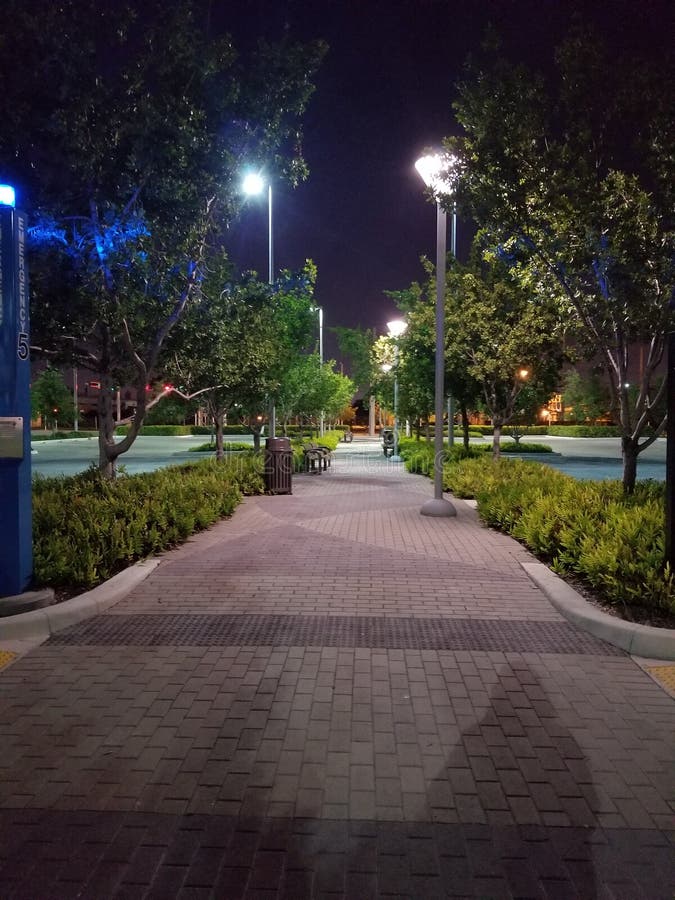 Late night walk stock photo. Image of cobble, family, night - 4254180