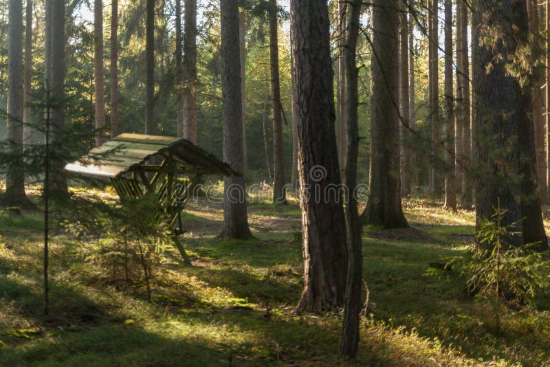 Late September stock image. Image of natural, autumn - 36008213