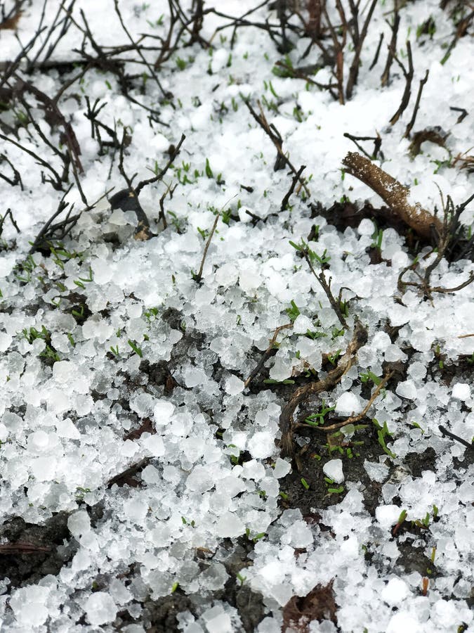 Late Snow with Hailstones on the Ground Stock Image - Image of closeup ...
