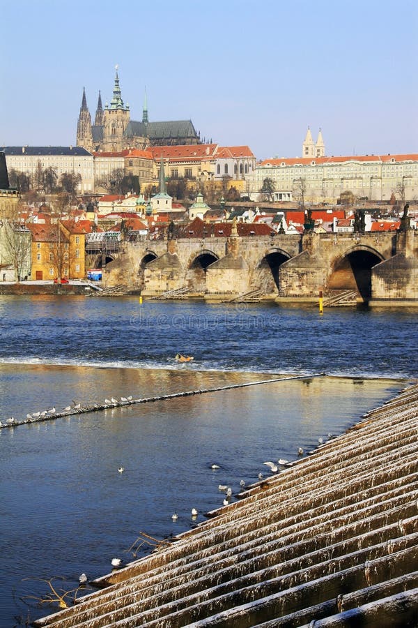 Late Snow in Prague - Gothic Castle Above Vltava Stock Image - Image of ...