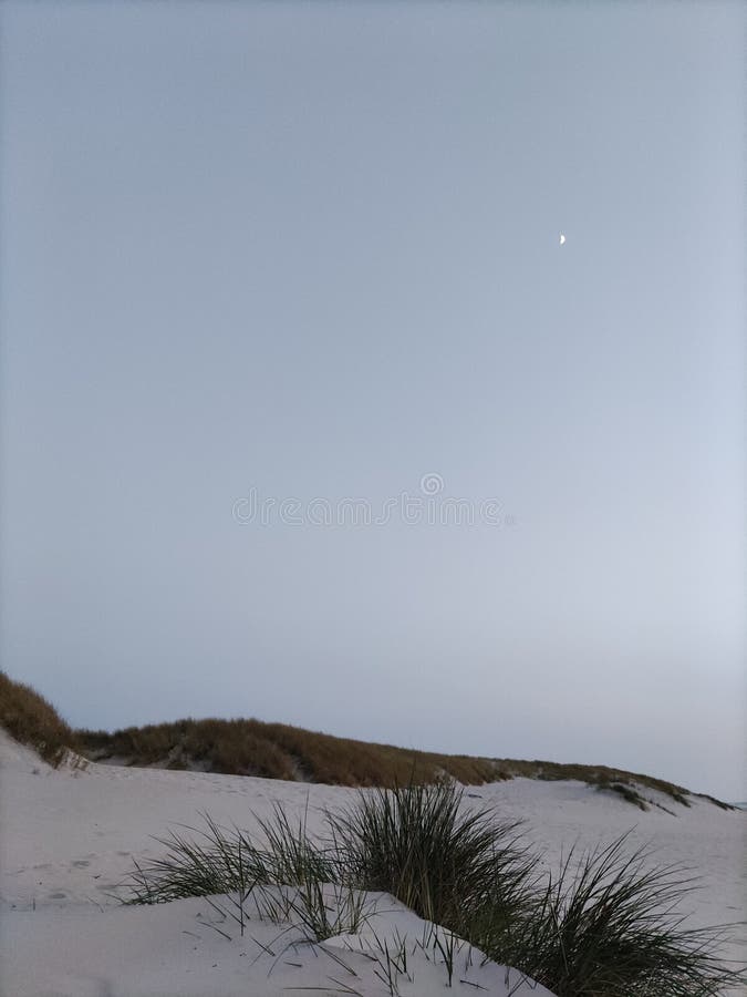 Late Spring on Empty Baltic Beach Stock Image - Image of spring, late ...