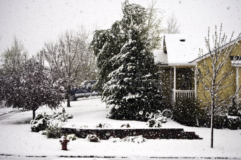 Late spring snow stock photo. Image of spring, trees - 14114200