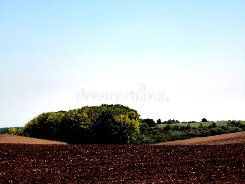Fall Scene with Tiny Forest and Brown Plow Field Stock Image - Image of ...