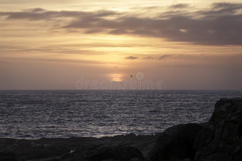 Late summer sunset stock photo. Image of horizon, coast - 181512404
