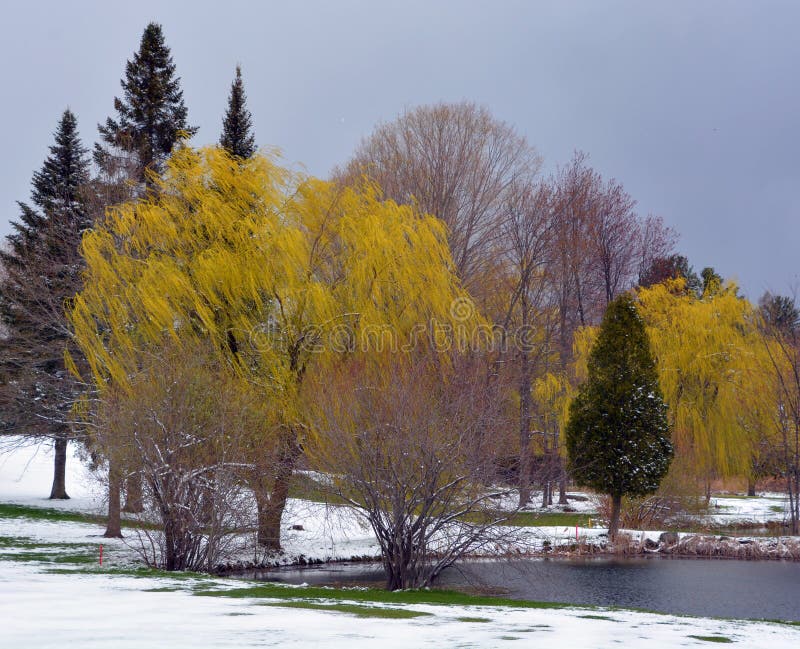 Late Winter, Early Spring Landscape in Bromont Stock Image - Image of ...