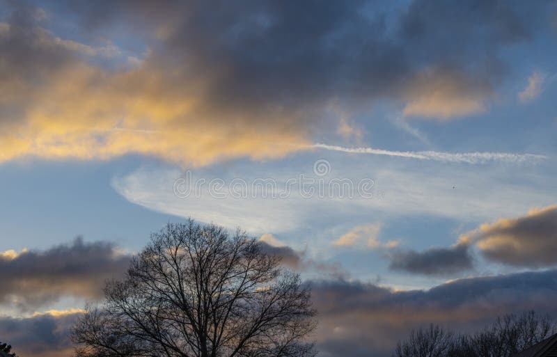 Late Winter Sunset stock photo. Image of trees, nature - 139966676