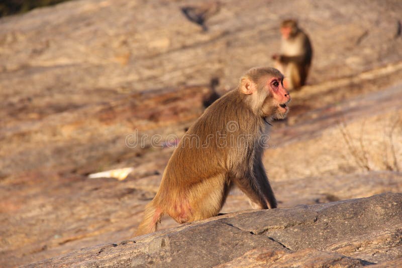 Later afternoon winter sky stock photo. Image of environment - 65560400