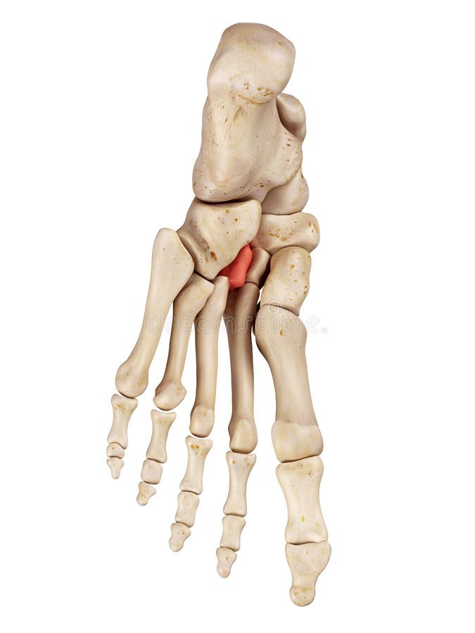 Cuneiform Stock Illustrations – 735 Cuneiform Stock Illustrations ...