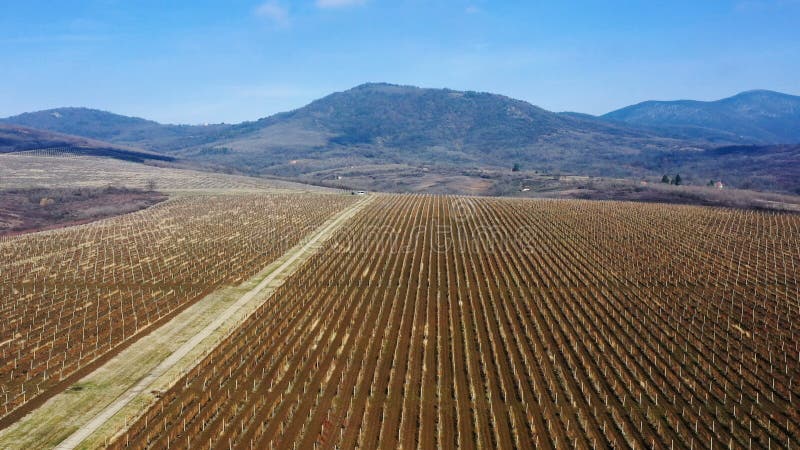 Lateral Flight Over Vineyards Stock Video - Video of hills, hill: 174947267