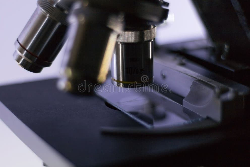 Lateral View of a Microscope while Analyzing a Fragment of Hair. Stock ...