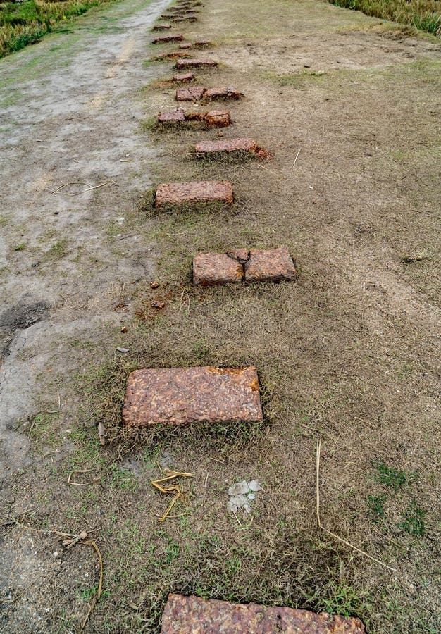 Laterite Pathway in the Park Stock Image - Image of grass, rural: 102809557