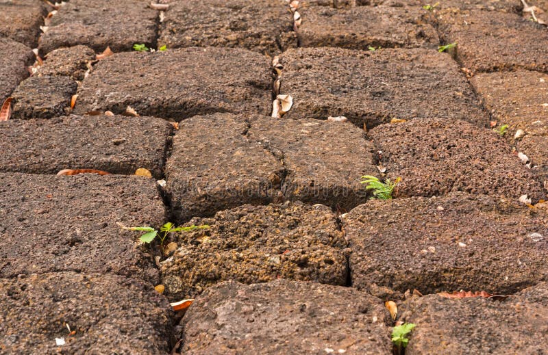 101 Texture Laterite Stone Tile Stock Photos - Free & Royalty-Free ...