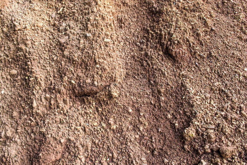 303 Laterite Soil Textured Background Stock Photos - Free & Royalty ...
