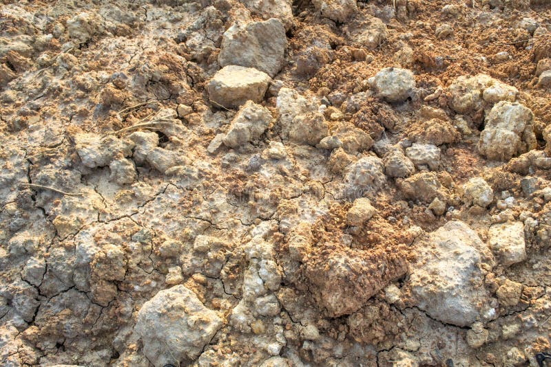 Laterite soil stock image. Image of geological, dirty - 63234899