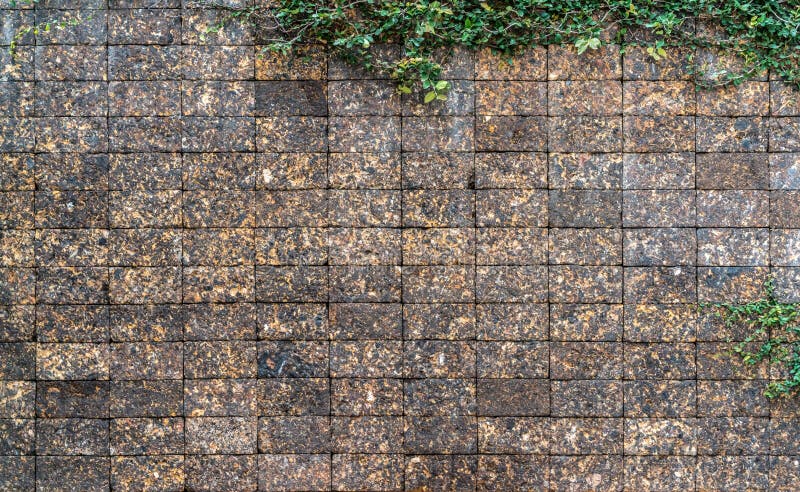 Laterite wall texture stock image. Image of wall, garden - 87254747
