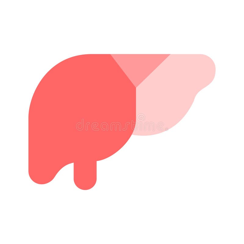 The Latest in Modern Style Vector Human Liver Organ Icon Stock Vector ...