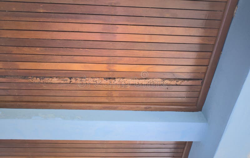 170 Wood Ceiling Lath Stock Photos - Free & Royalty-Free Stock Photos ...