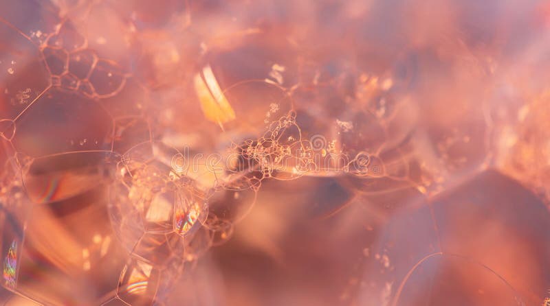 Lather. Abstract Background from Bubbles and Soap Foam Stock Image ...