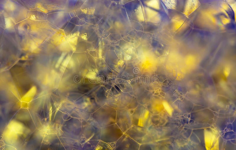 Lather. Abstract Background from Bubbles and Soap Foam Stock Image ...