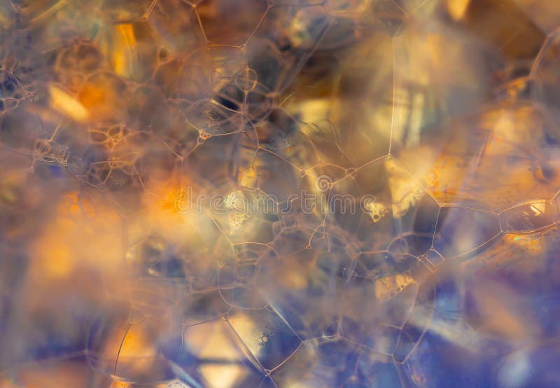 Lather. Abstract Background from Bubbles and Soap Foam Stock Image ...