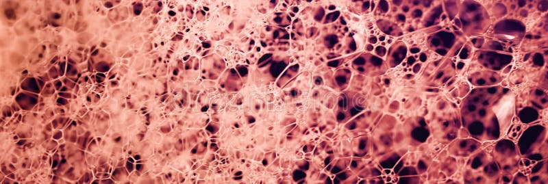 Lather. Abstract Background from Bubbles and Soap Foam Stock Image ...